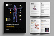 Human Body Brochure Template