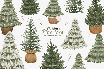 Watercolor Pine Trees Clip Art | Illustrations ~ Creative Market