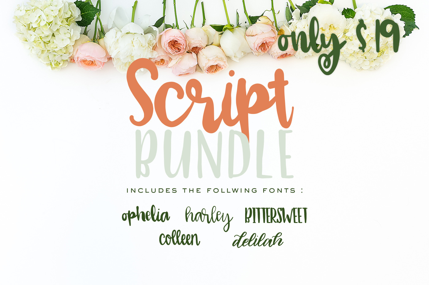 August Script Font Bundle | Script Fonts ~ Creative Market