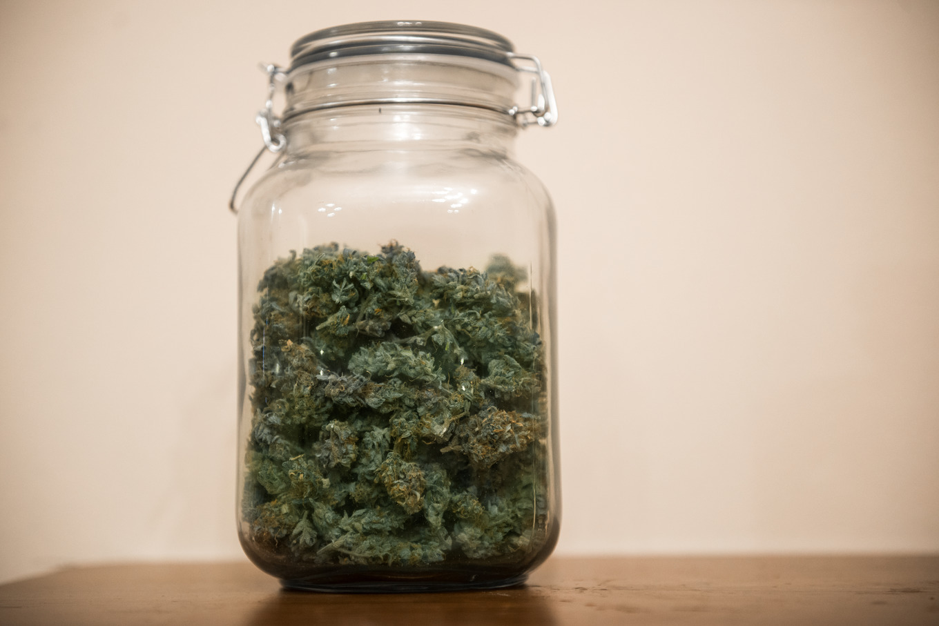 Cannabis marijuana sativa heads, a Health & Medical Photo by New York ...