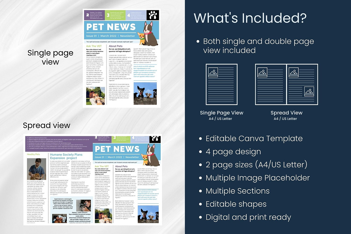 Canva newsletter template for pet care