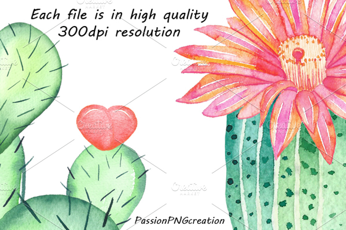 Watercolor Cactus Clipart, an Illustration by PassionPNGcreation