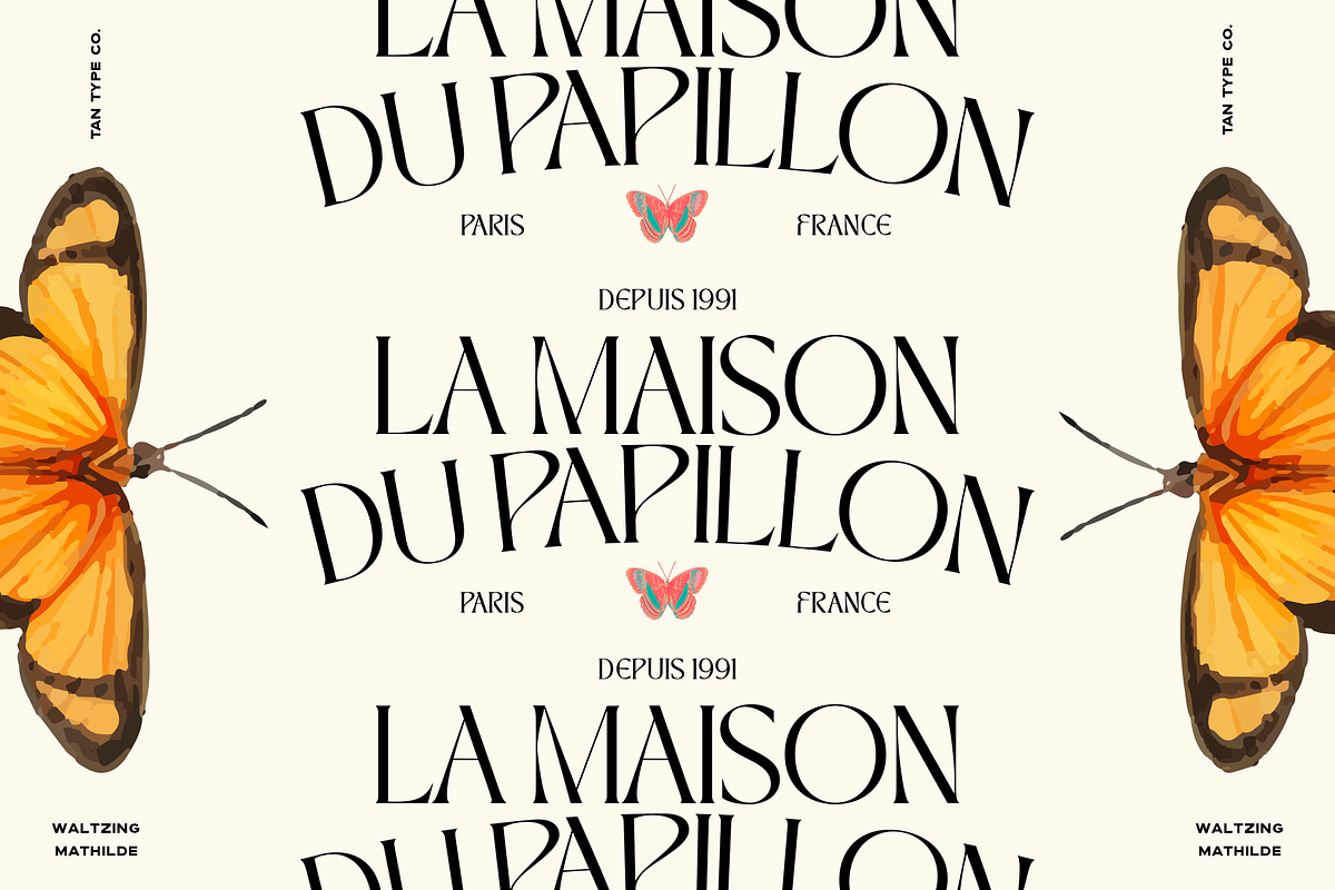 TAN - WALTZING MATHILDE