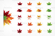 Autumn Maple Leaves Vector Pack, a Seasonal Illustration by EezyPremium