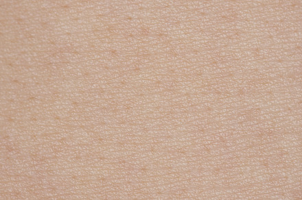 Texture of skin, an Abstract Photo by PixieMe