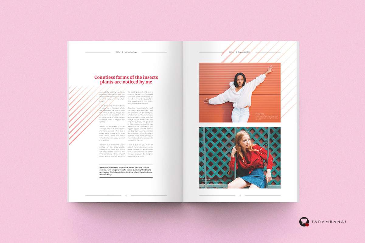 Bitter - Magazine Template, a Magazine Template by Plan B