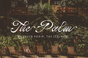 Holy Mary – Modern Calligraphy Font
