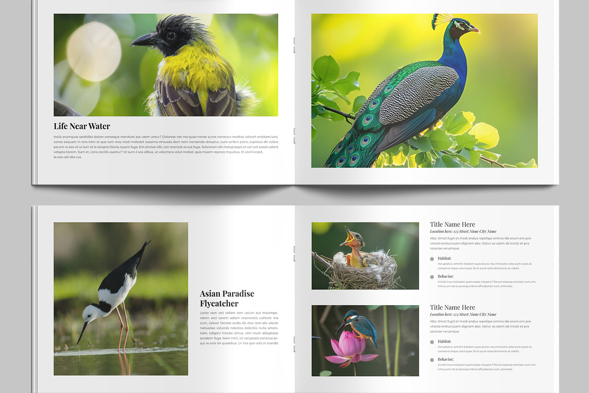 Professional Photo Album Design