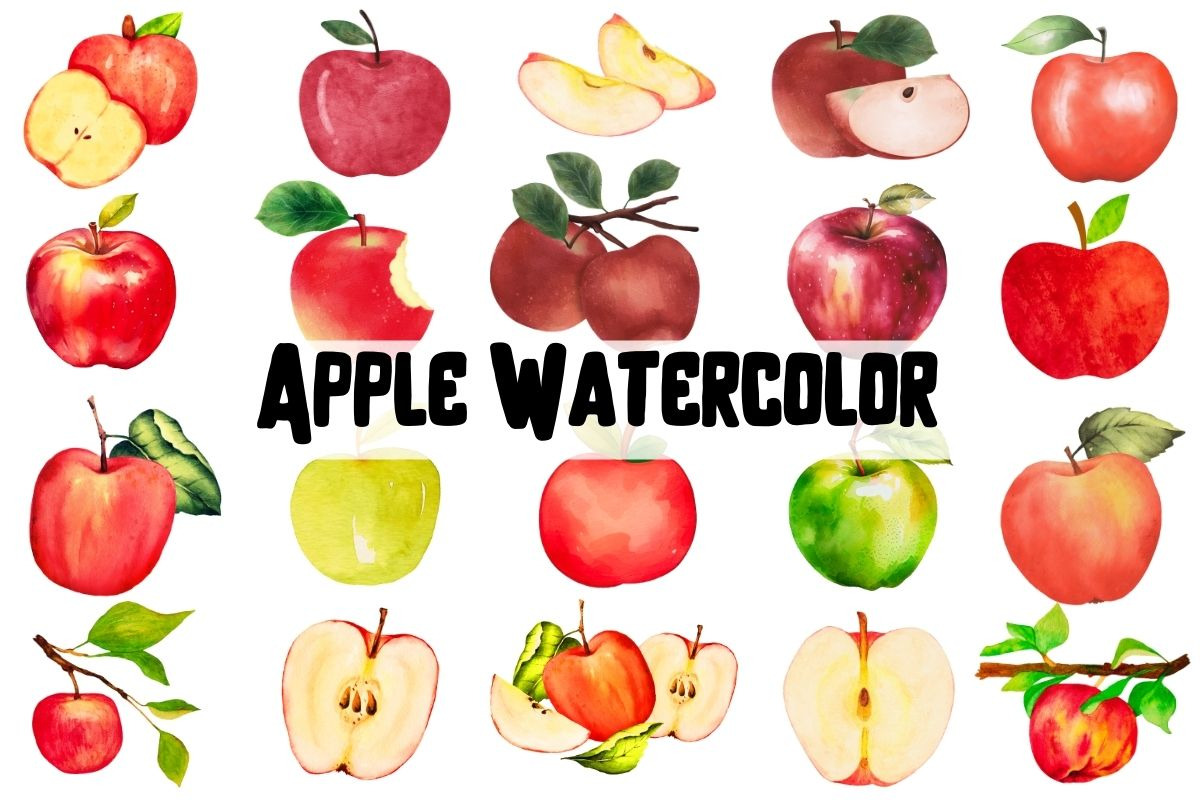 Apple Watercolor & PNG Clipart, a Food Illustration by Awieee1