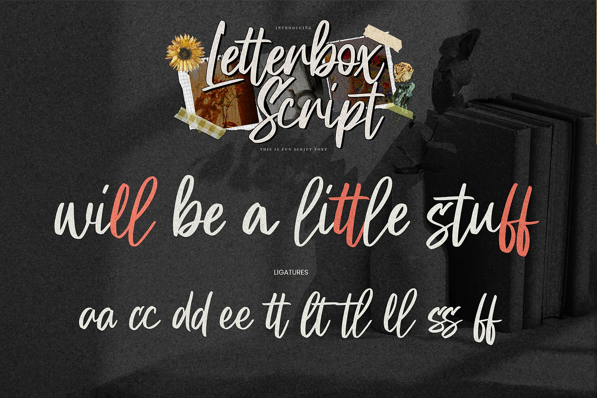 Letterbox Script - Fun Script