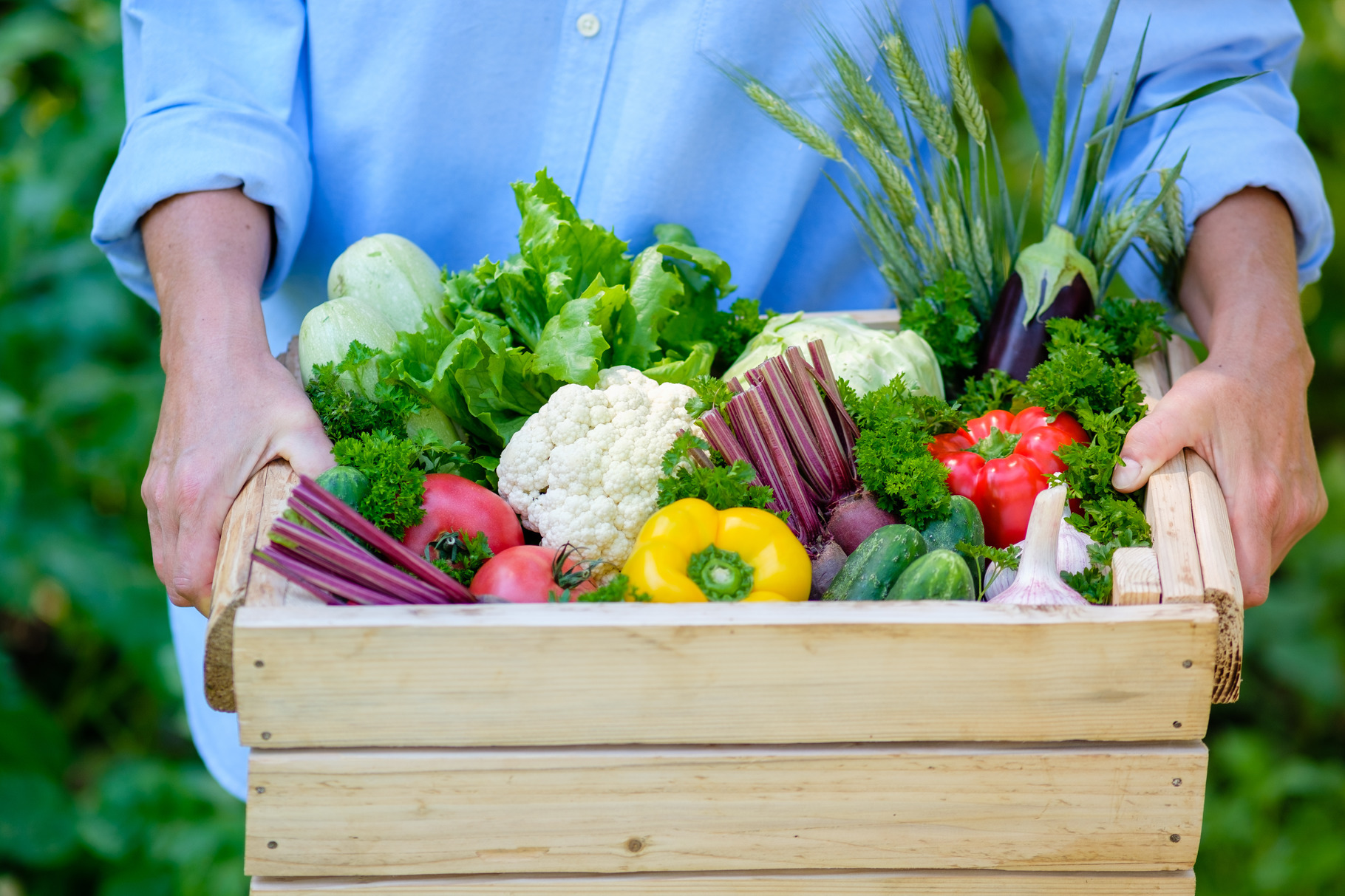Farmer holding box with vegetables, a Food & Drink Photo by photoguns