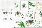Herbs and Spices Bundle, a Food & Drink Photo by Hudson Farmhouse