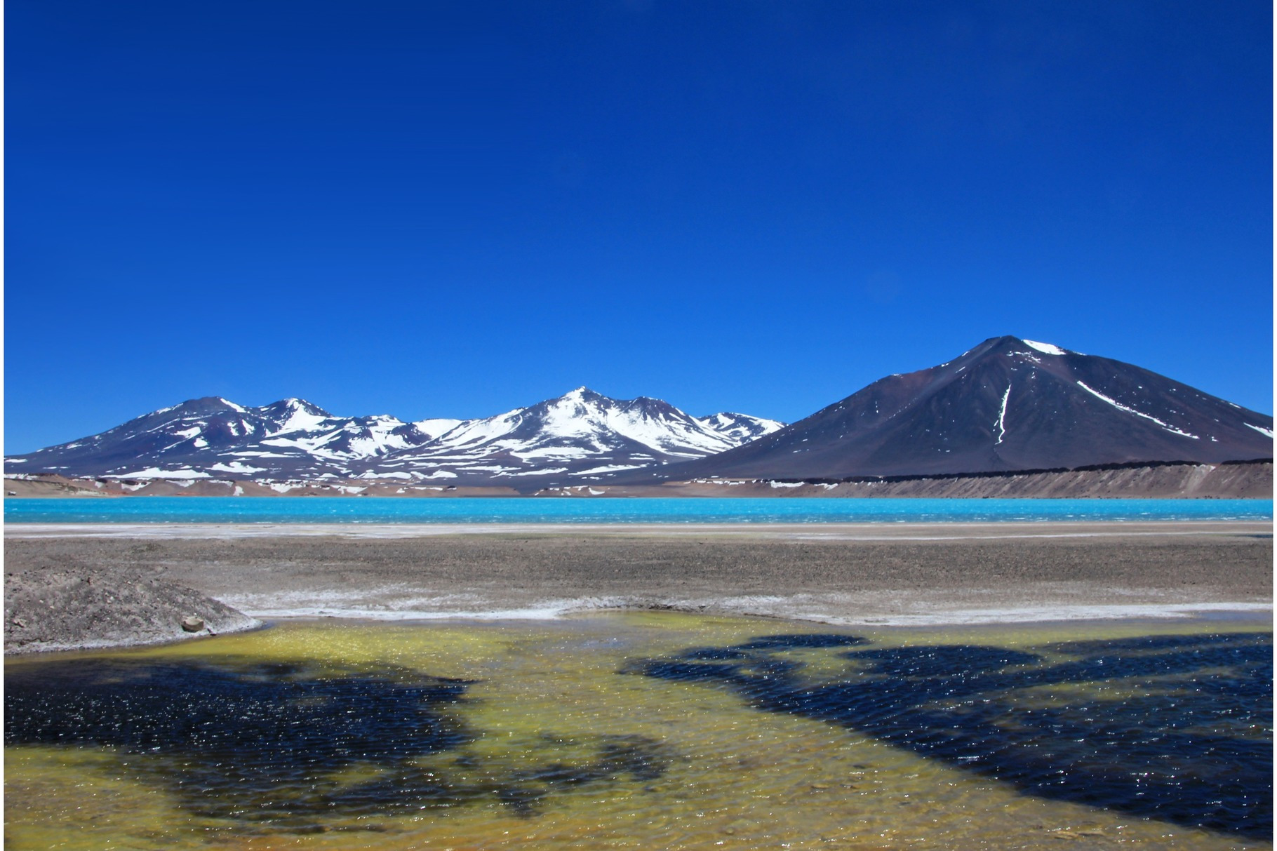 Beautiful green lagoon laguna verde featuring green, lake, and laguna ...