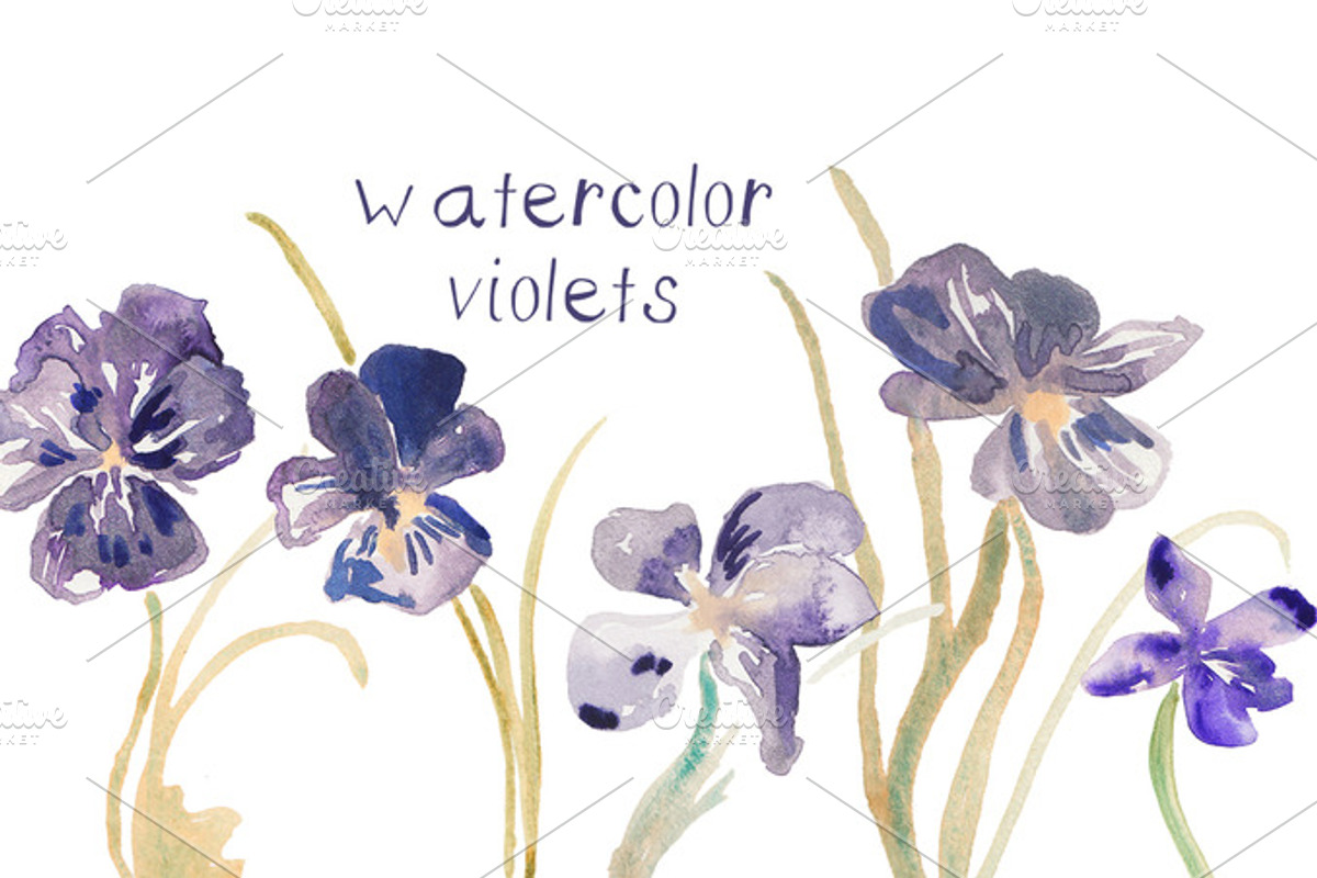 Watercolor Violet Illustrations, an Illustration by Digital Press Creation
