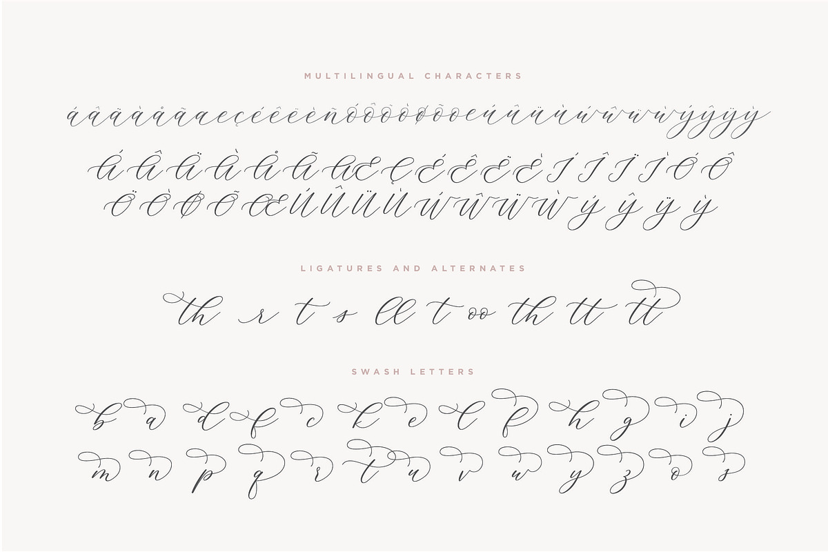 Adore Calligraphy Font, a Script Font by The Styled Script