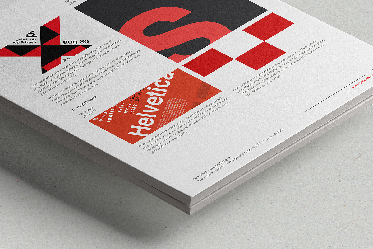 Swiss Resume Template, a Resume Template by Nina Shaw