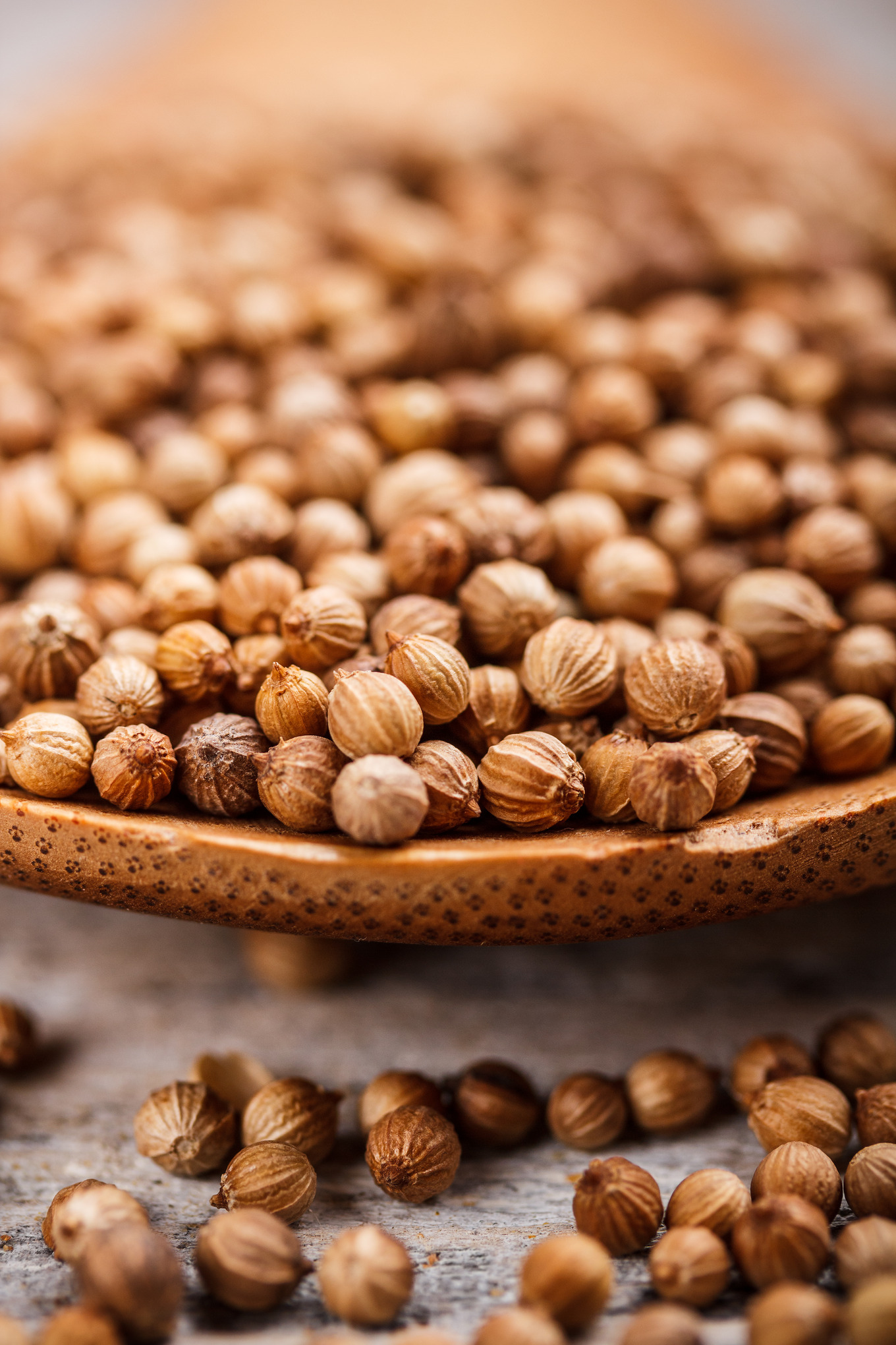 Coriander seeds featuring seed, closeup, and coriander, a Food & Drink ...