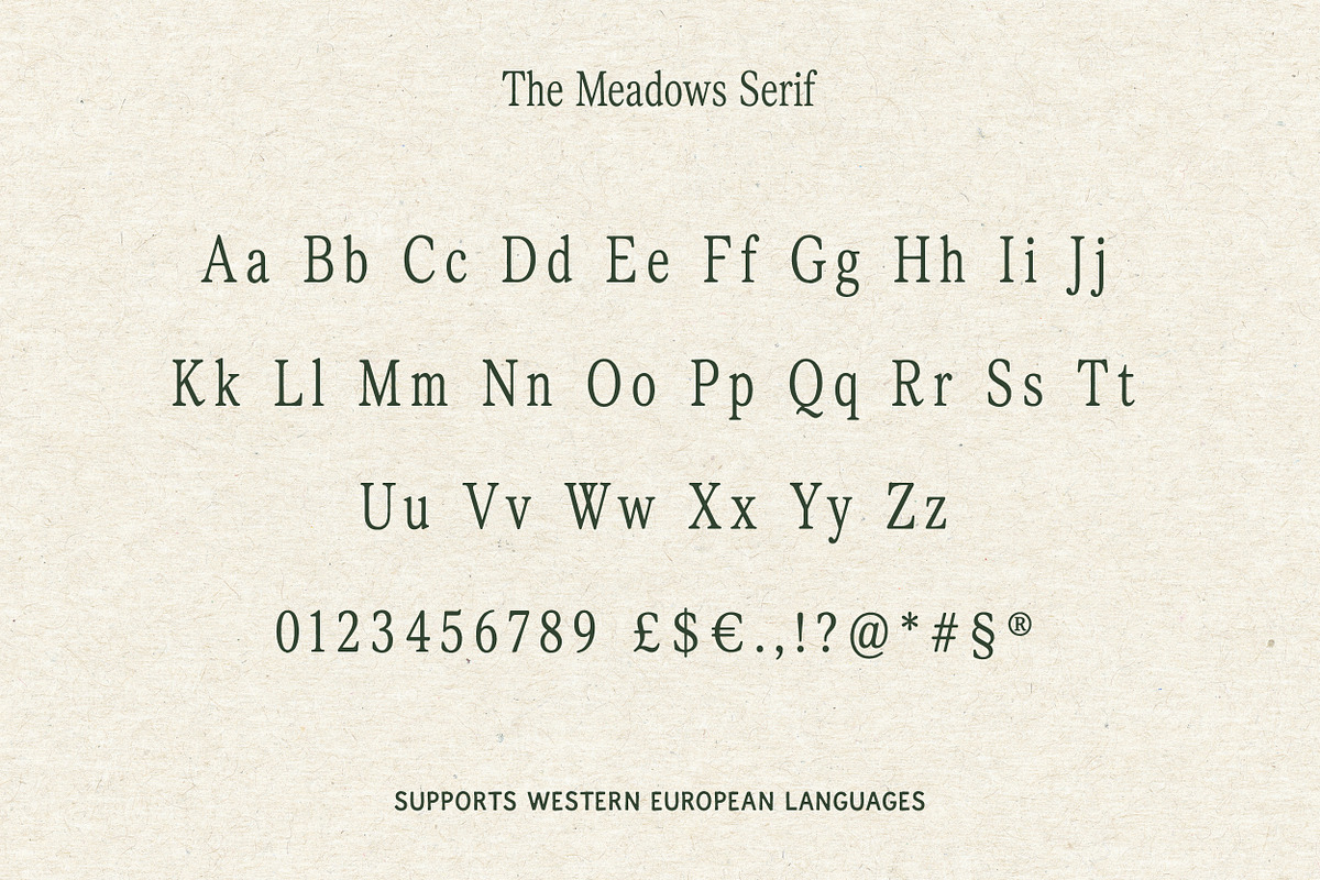 The Meadows - Font Trio & Extra, a Handwritten Font by Davide Bassu