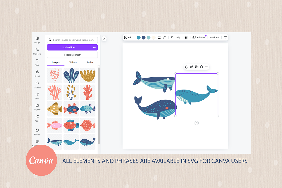 Ocean Tales Kit, an Animal Illustration by miumiu
