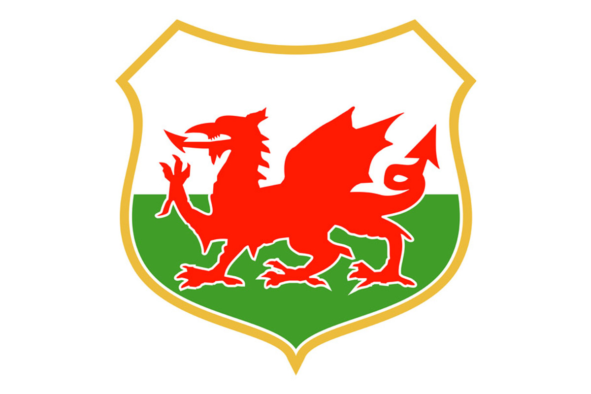 red welsh dragon, an Illustration by patrimonio