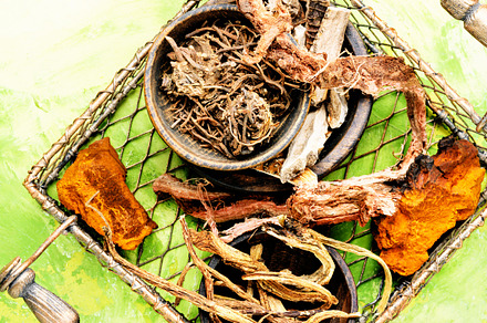 Set of roots of medicinal plants containing root, acorus calamus, and ...