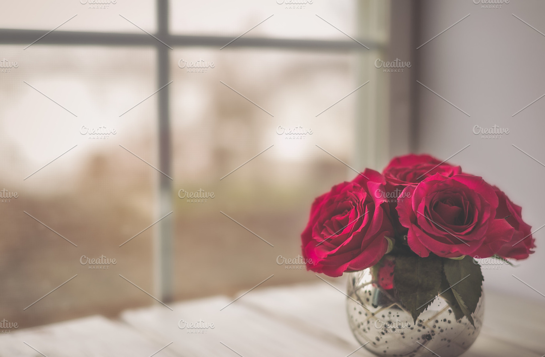 Roses by Window, a Beauty & Fashion Photo by Tina Thelen Photography ...