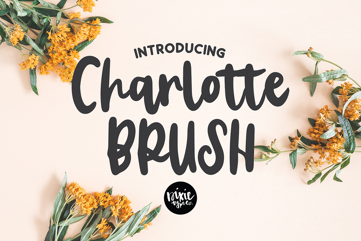 Brush Lettered Font Bundle by DTC, a Script Font by Blush Font Co.