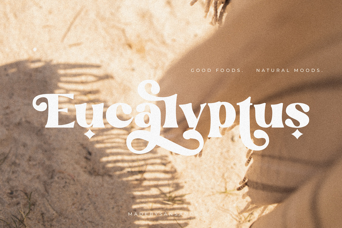 Grande - Retro Font, a Serif Font by Sans & Sons