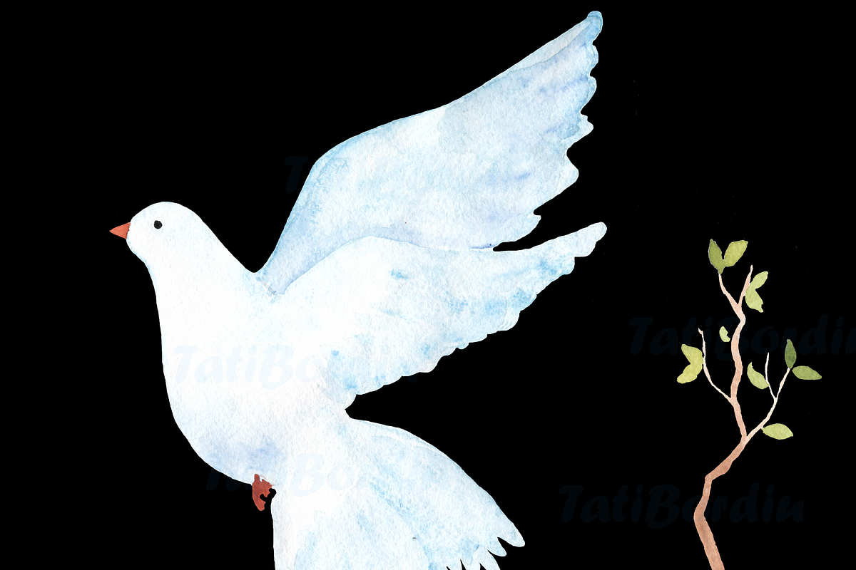 Watercolor Dove - Clip Art, an Object Graphic by Tati Bordiu