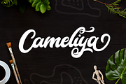 Cameliya - Bold Script Font, a Script Font by StringLabs