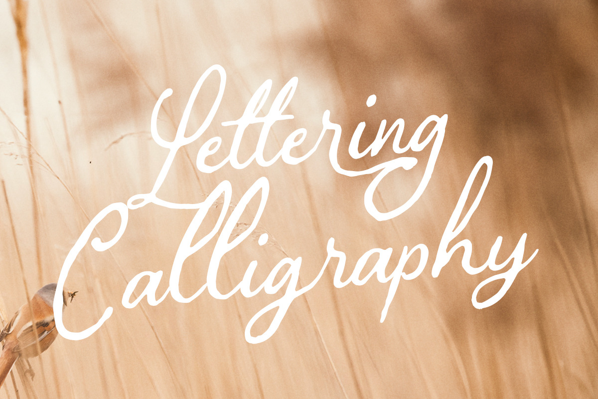 Brawford - Hand Drawn Script, a Script Font by Rillatype