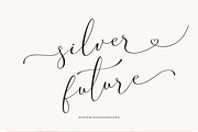 Silver Future - Romantic Script, a Script Font by Sans & Sons