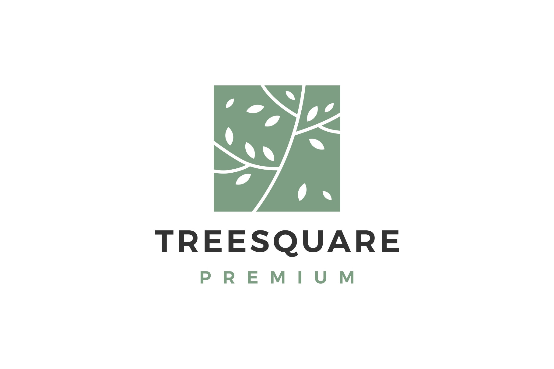tree square logo vector icon, a Branding & Logo Template by VSTRD ...
