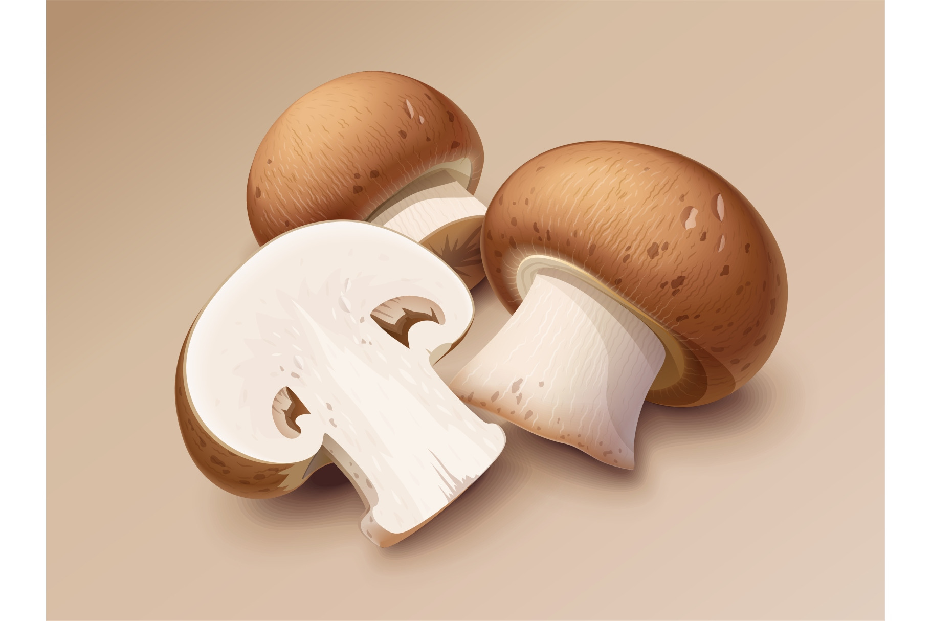 Champignon. Whole and half mushroom, a Food Illustration by Aleksangel