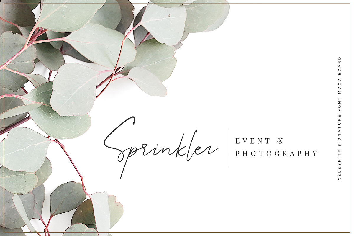 Celebrity Signature Font, a Script Font by SNIPESCIENTIST