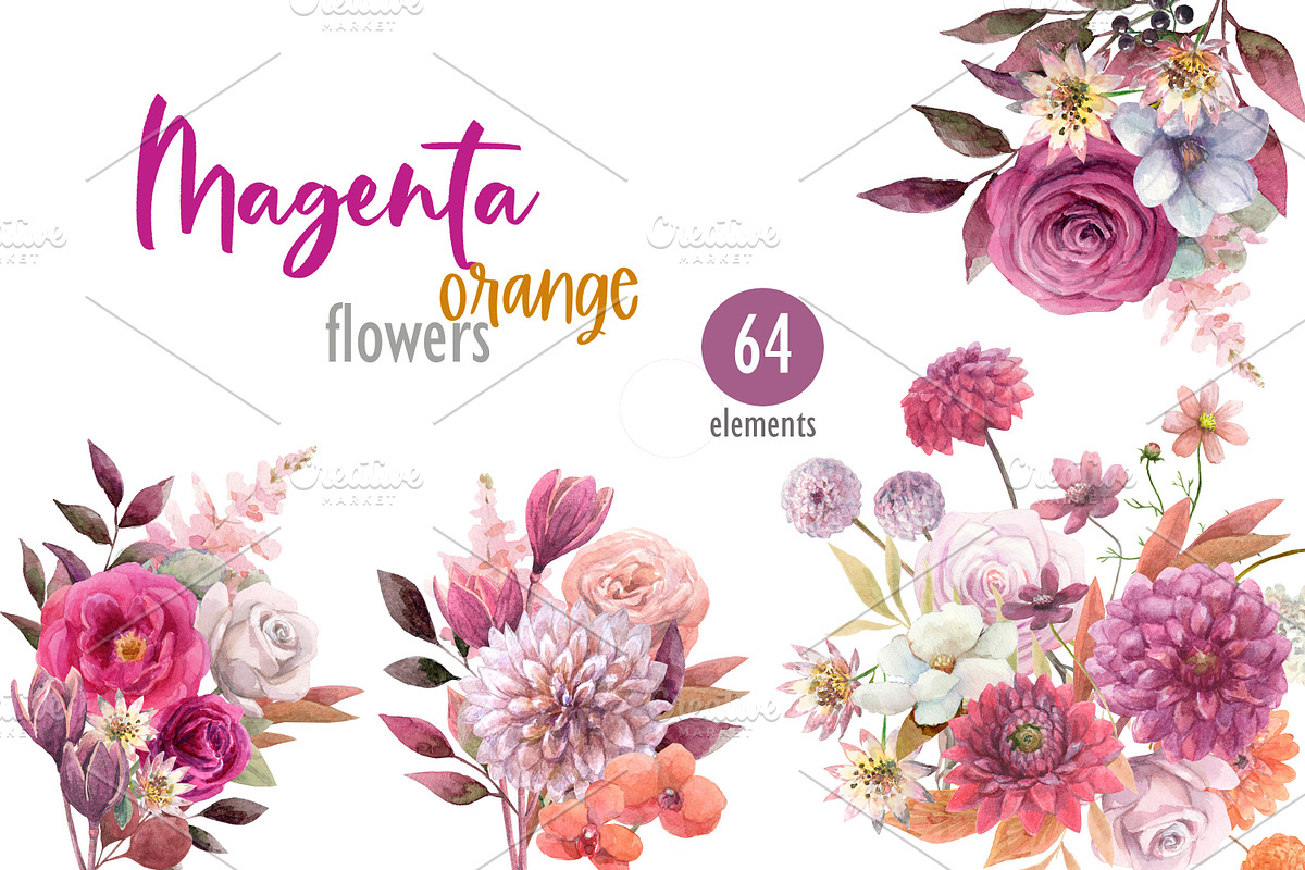 Magenta dahlia,watercolor flowers, an Illustration by yulia.sukhanova