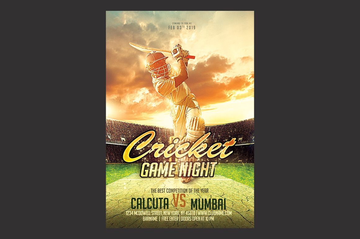 Cricket Game Flyer, a Flyer Template by DSGraphicDesign