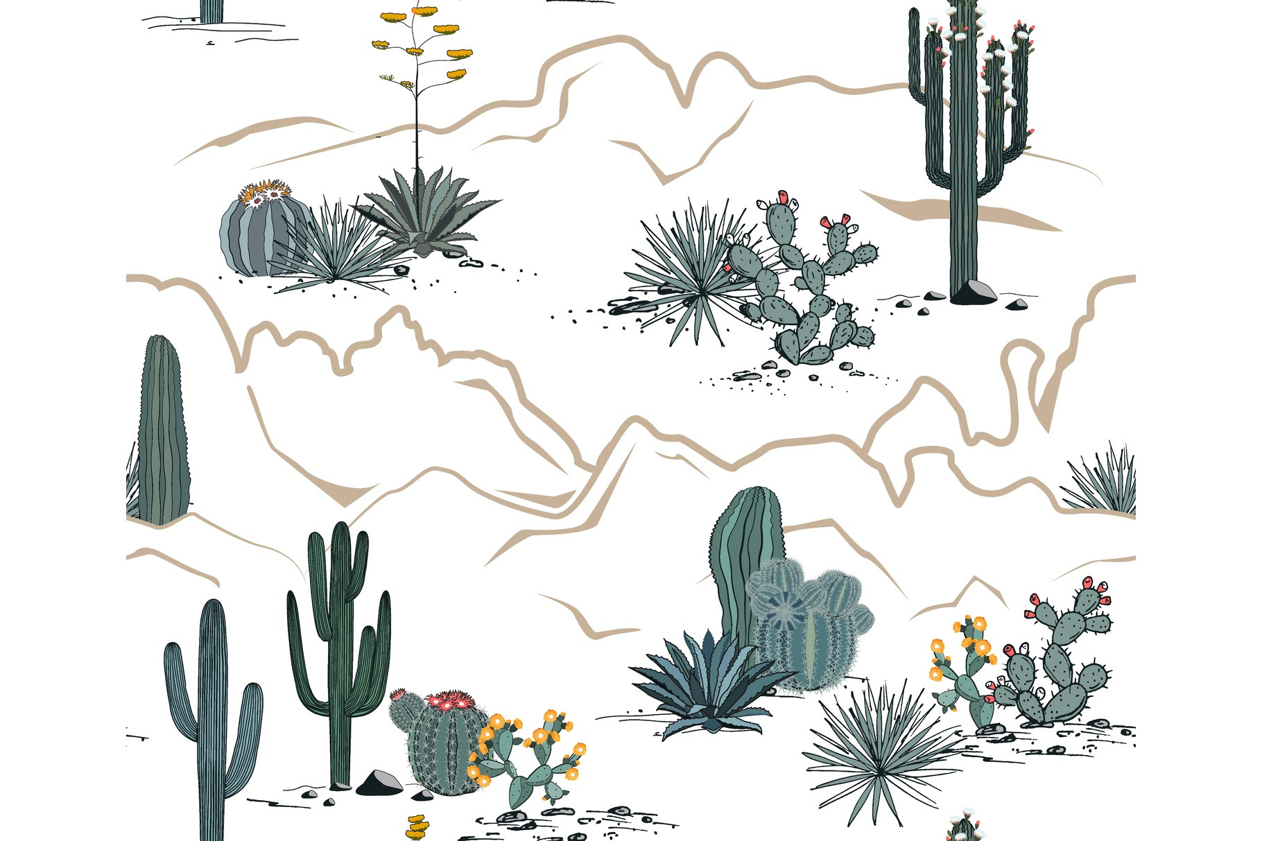 Desert seamless pattern with, an Illustration by Toltemara
