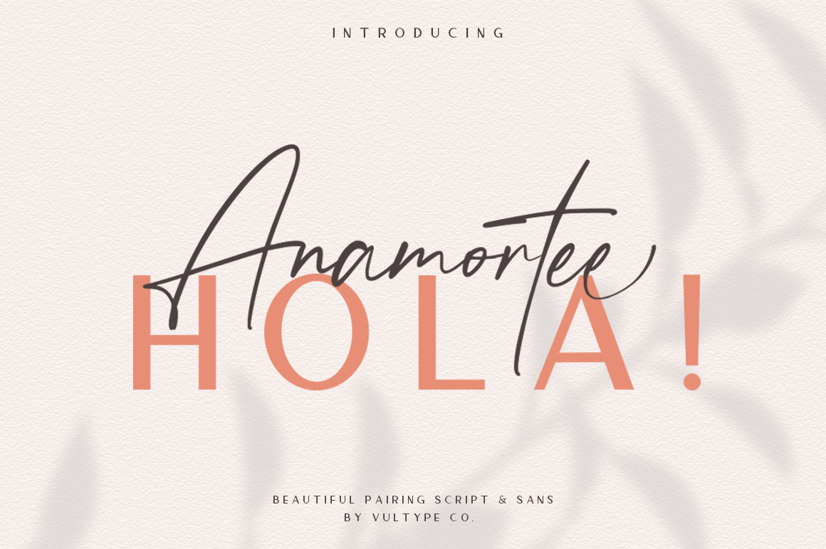 Anamortee // Modern Calligraphy Font, a Script Font by Vultype Co.