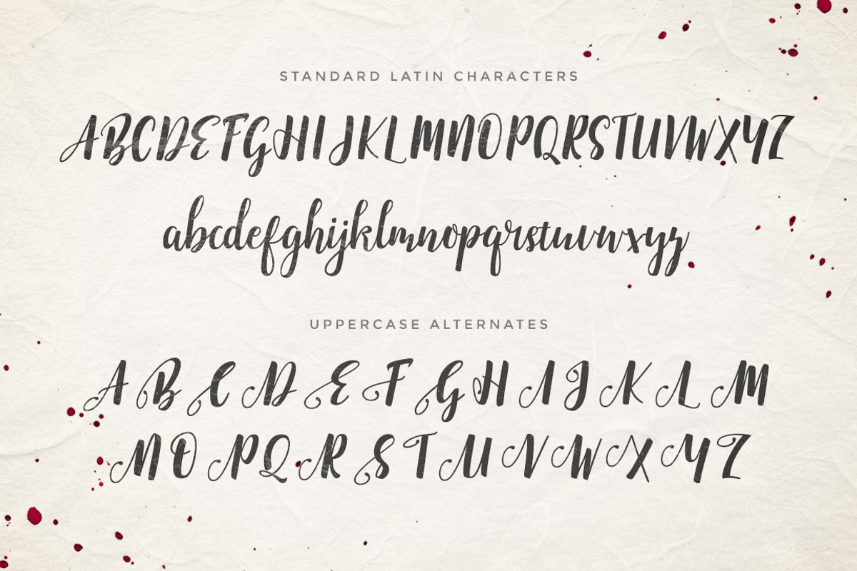 Emellie Script Font, a Script Font by Design Panoply