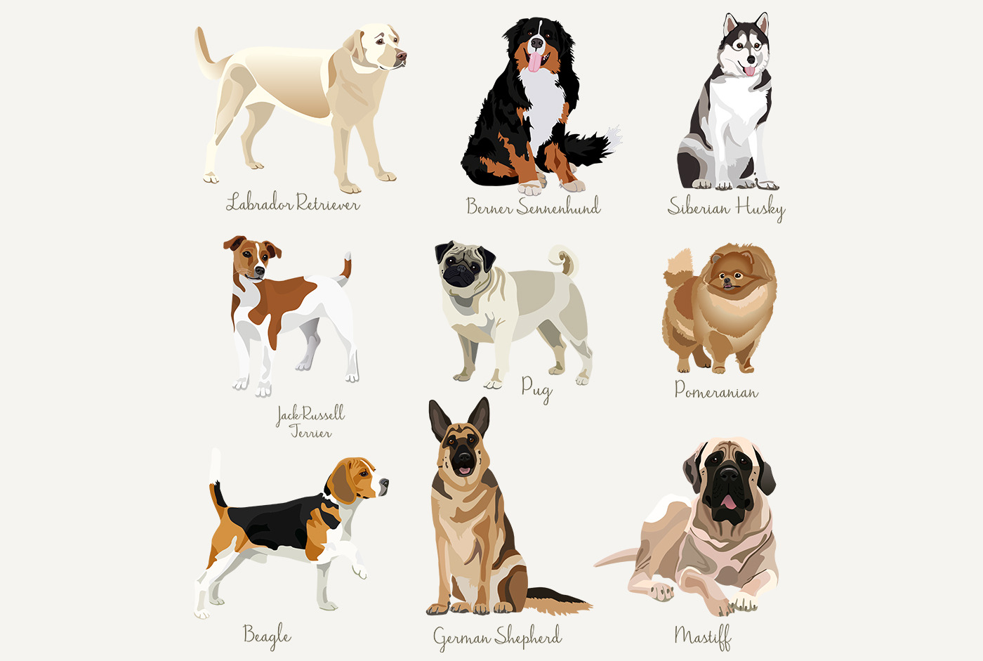 Different type of dogs set., a Graphic by Lemberg Vector