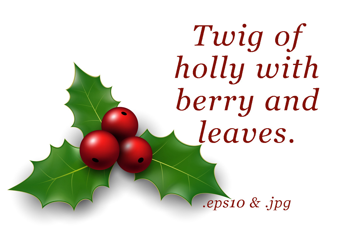 Twig of holly with berry and leaves, a Decorative Illustration by Vjom ...