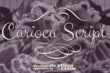 Gimbel Script, a Script Font by Stiggy & Sands