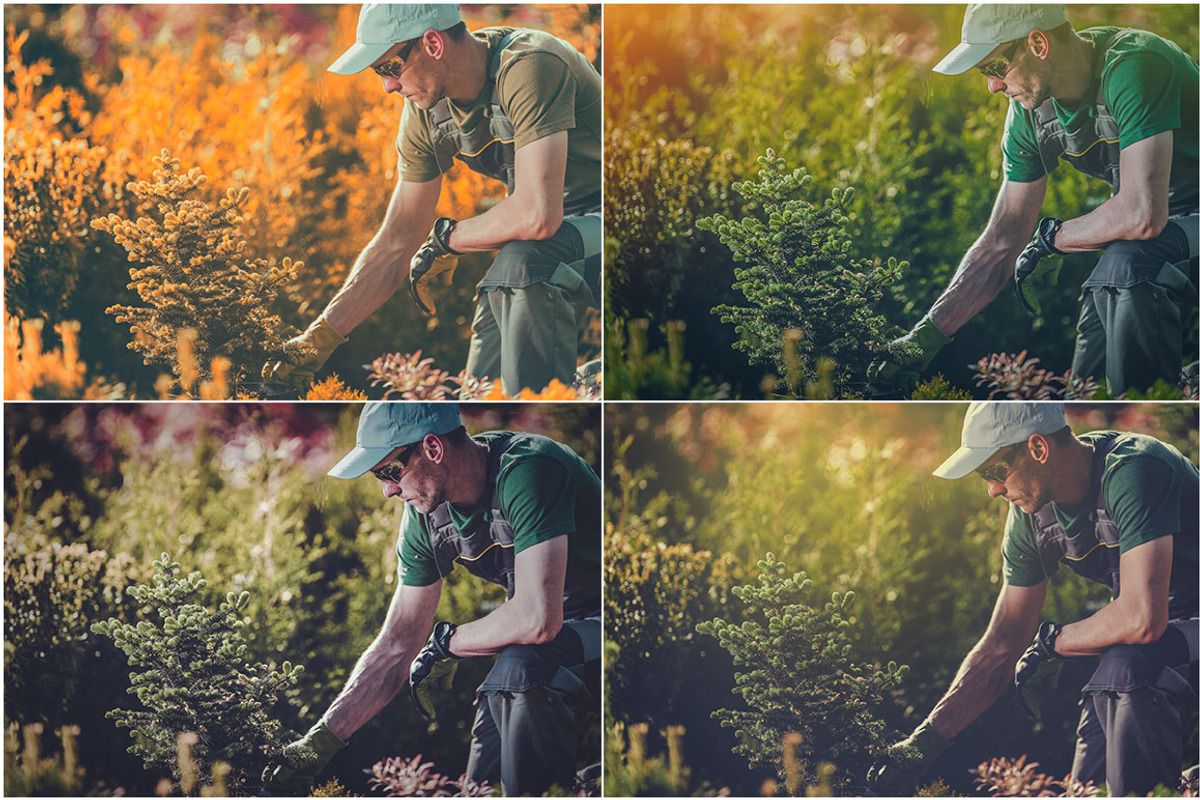24 Color Grading Photoshop Action, an Action Add-On by designvillage
