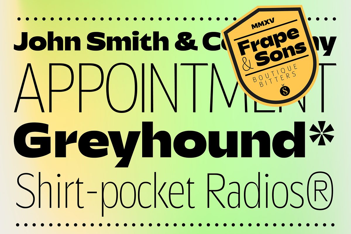 Savior Sans, a Sans Serif Font by Sudtipos