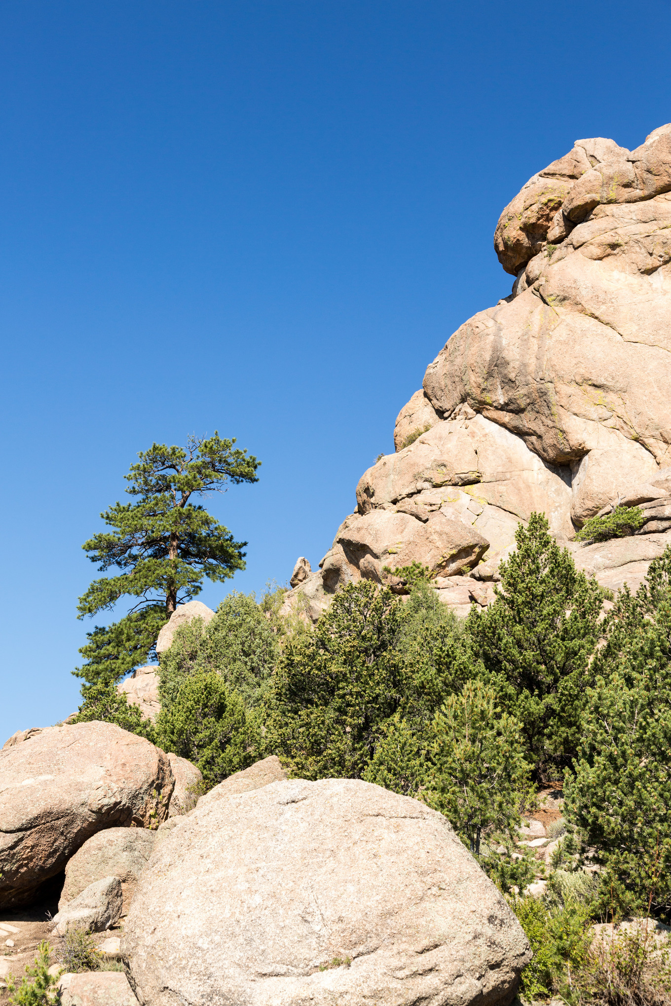 Mountain scenes in colorado containing colorado, tree, and turtle rocks ...