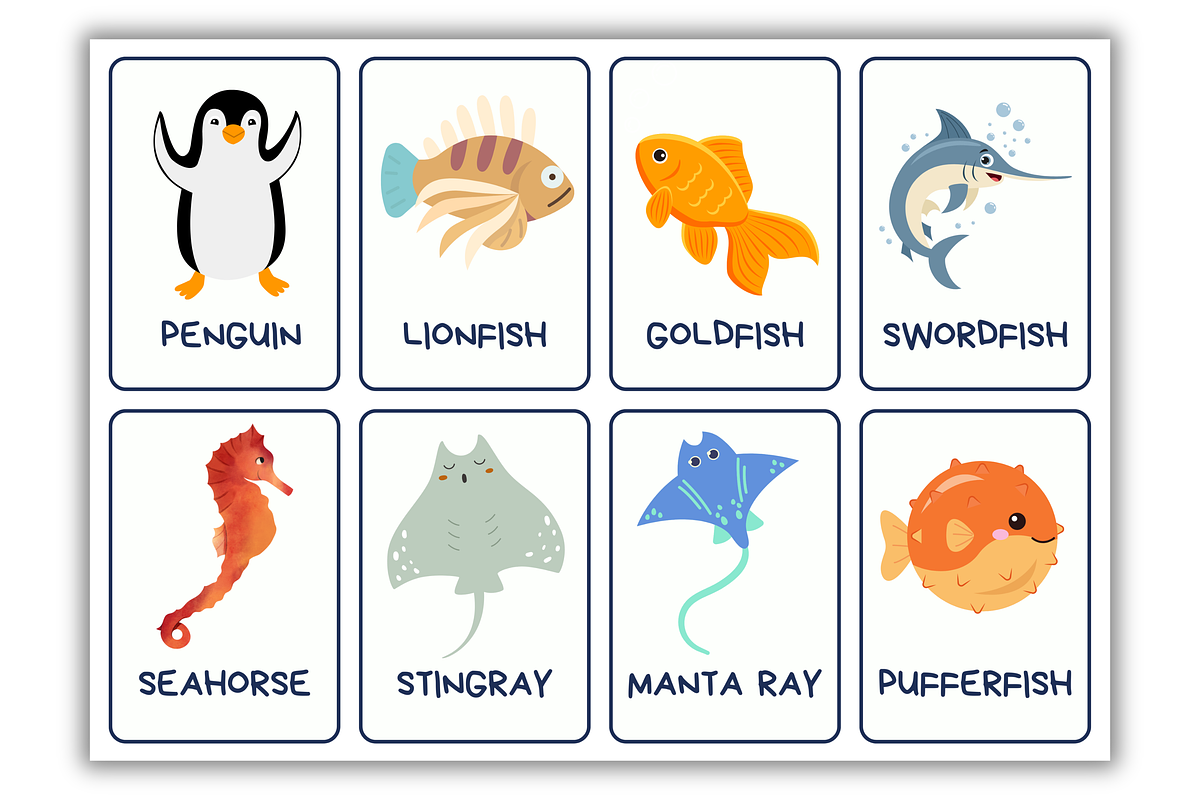 Sea animal flashcard
