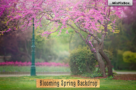 Spring Portrait Backgrounds, a Wallpaper Graphic by MixPixBox