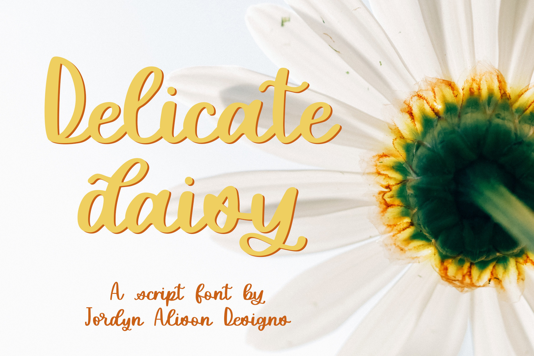 Delicate Daisy Script Font, a Script Font by Jordyn Alison Designs