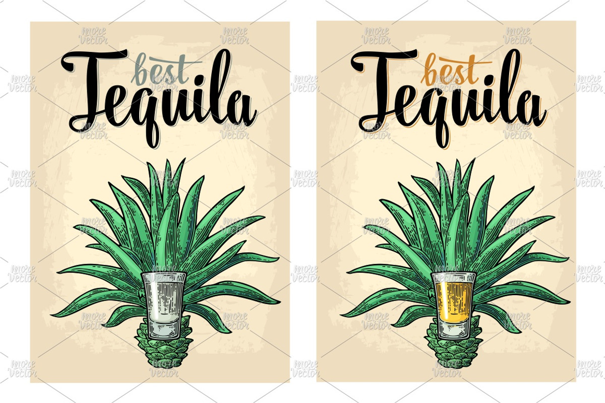 Tequila. Illustrations and posters, an Illustration by MoreVector